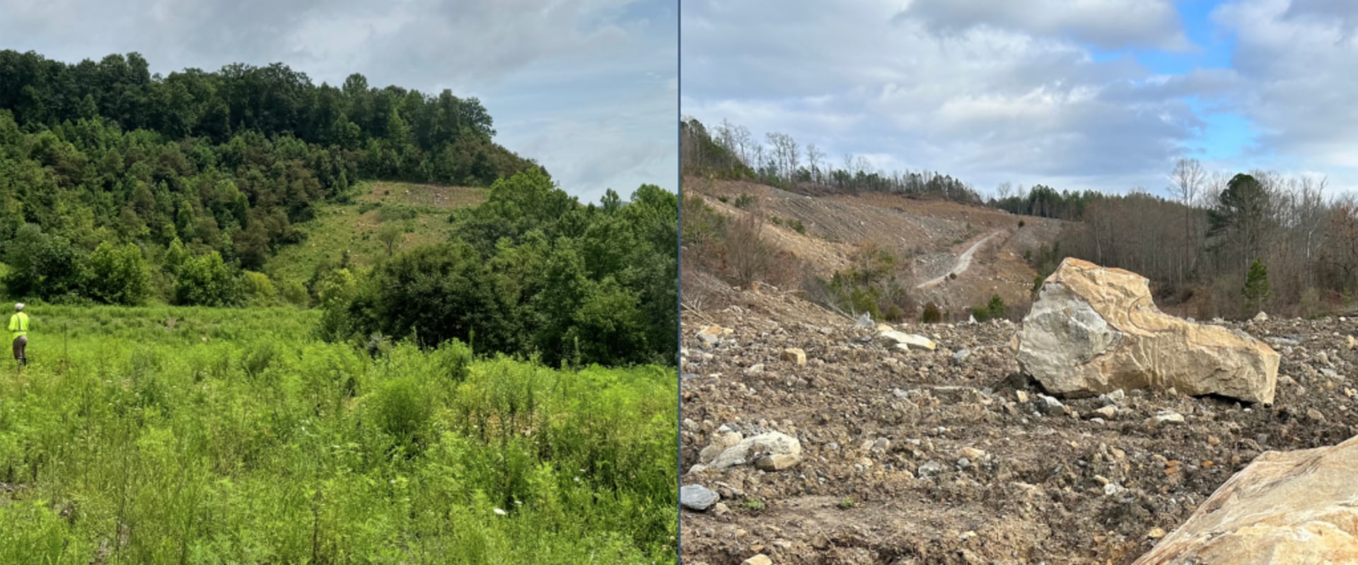 The Current State of Forestry in Northeast Tennessee